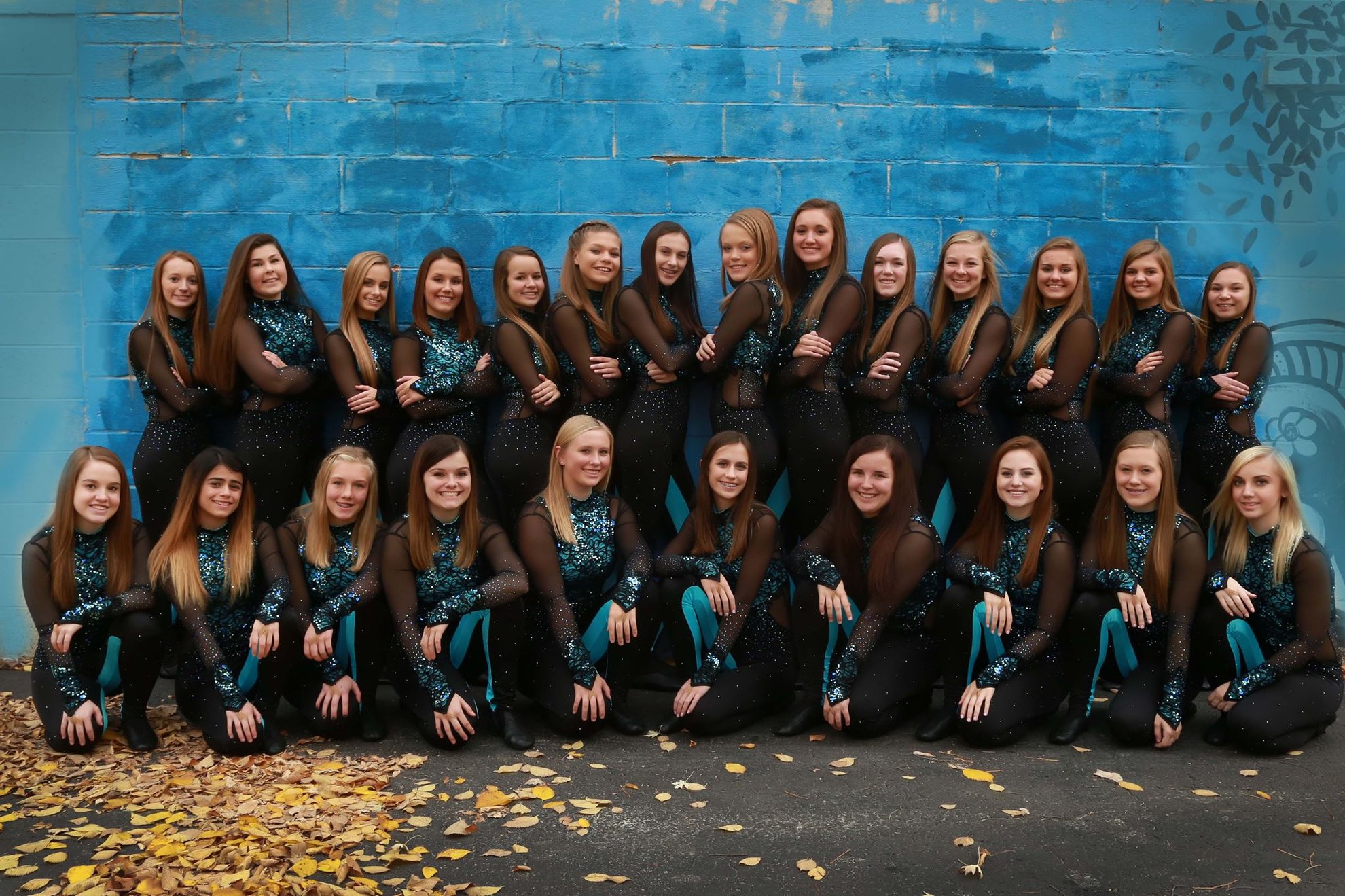 Competition Season Recap: 2017 Wisconsin State Dance Teams