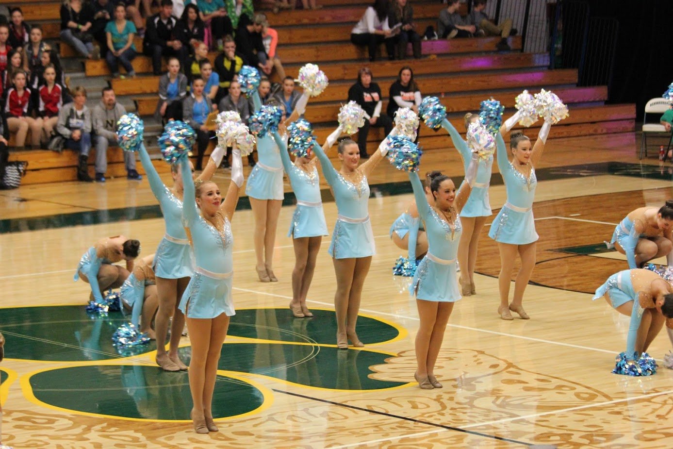 Competition Season Recap: 2017 Wisconsin State Dance Teams